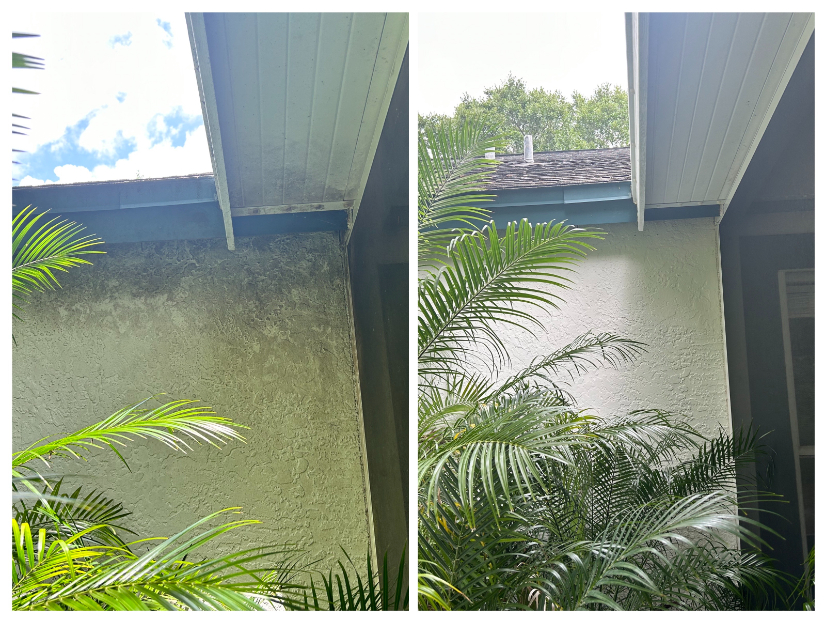 House Washing in Orlando, Florida | Castle Wash LLC